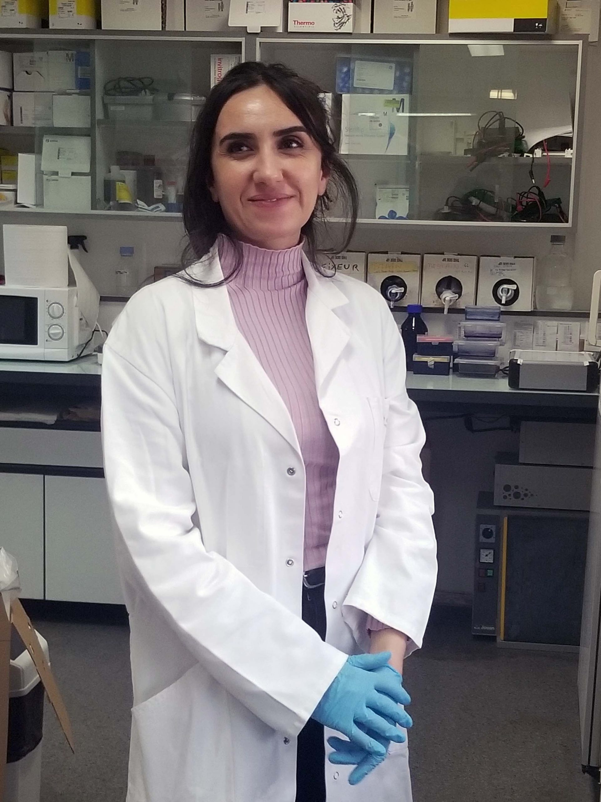 Hela Safi - Laboratoire Information Génomique et Structurale